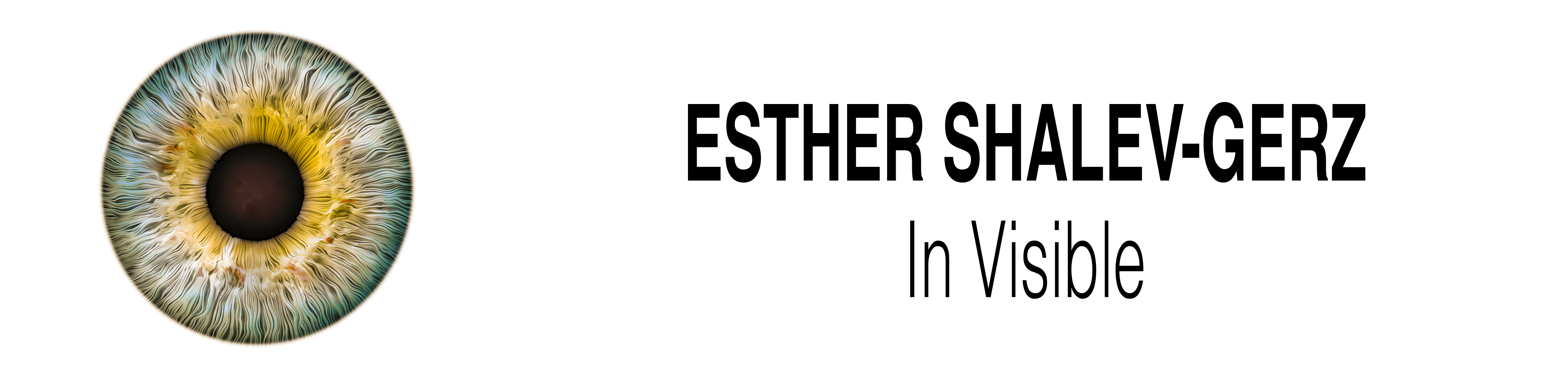 Exposition In Visible, par Esther Shalev-Gerz | Université Paris 1 ...